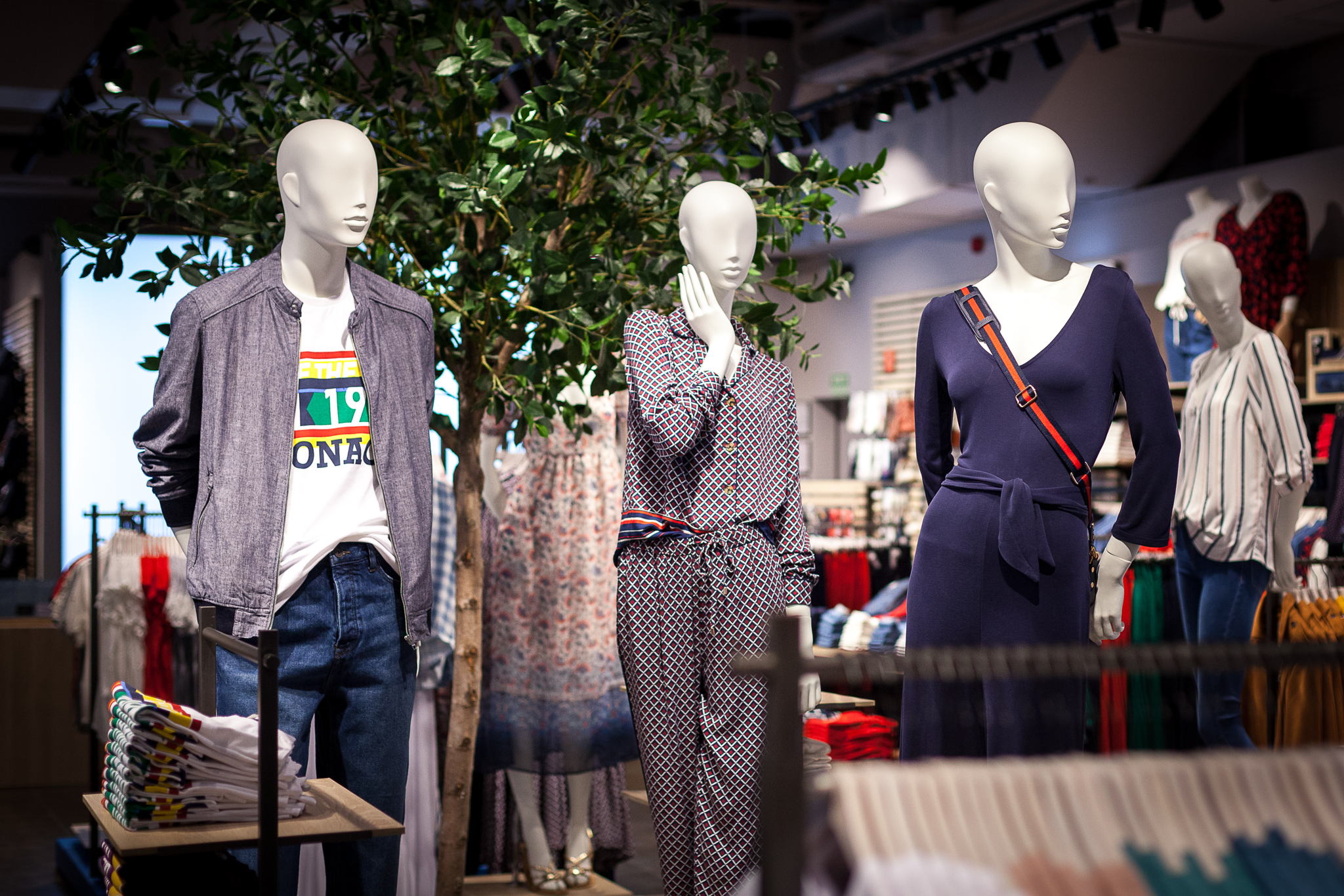 SPRINGFIELD REGRESA A SUS RAÍCES RECUPERANDO SU ICÓNICO LOGO DE ÁRBOL