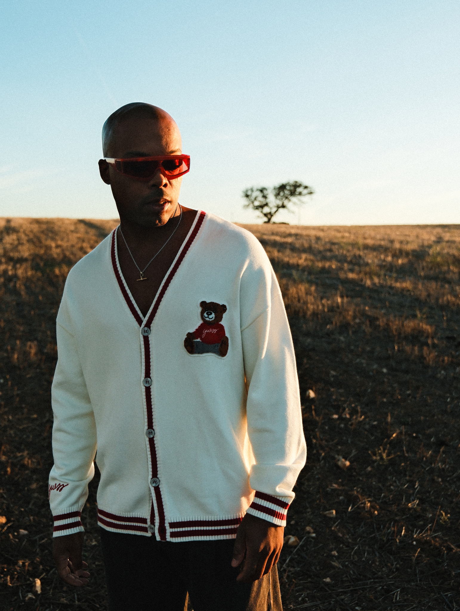 NELSON FREITAS, SON ALBUM TRÈS ATTENDU