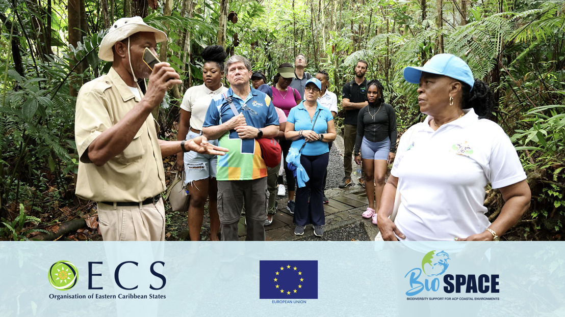 OECS Creates Opportunities for Collaboration through the Establishment ...