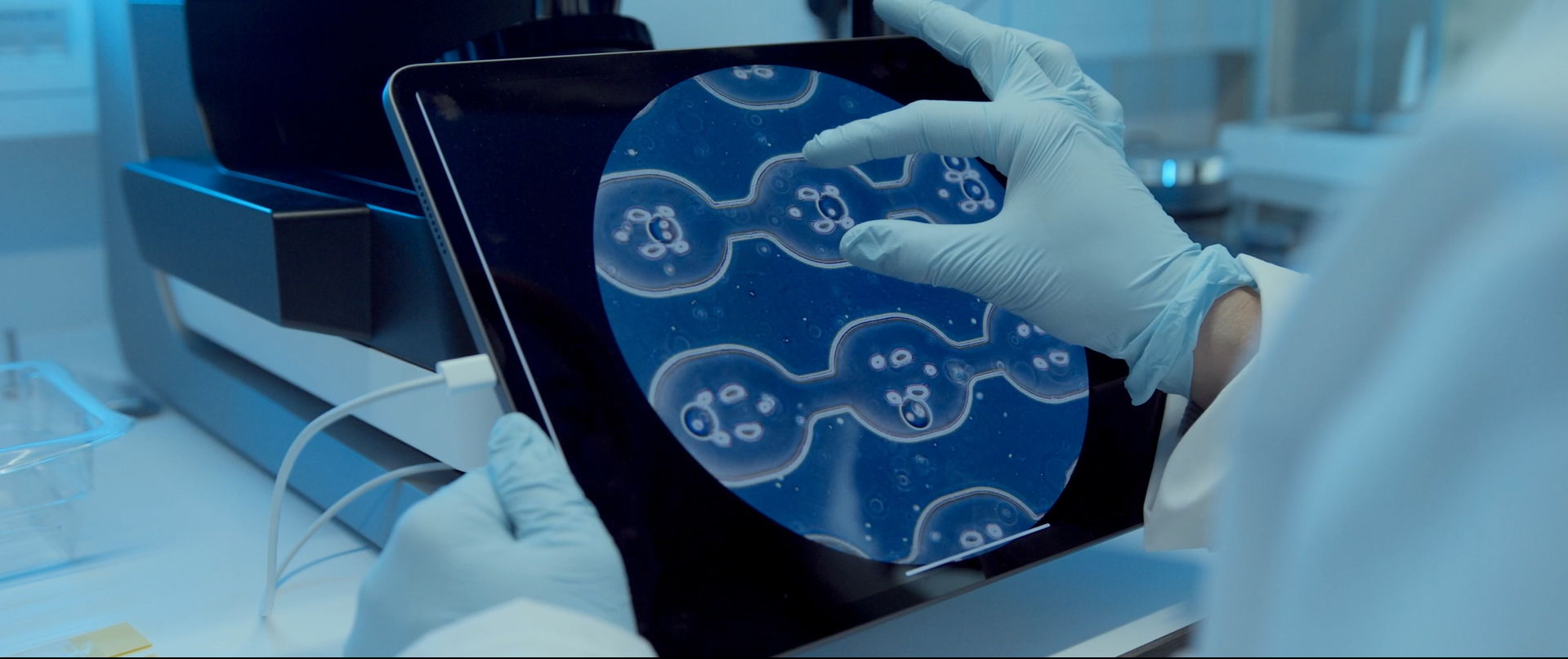 VIB Spatial Catalyst capitalizes on diverse omics talent to ...