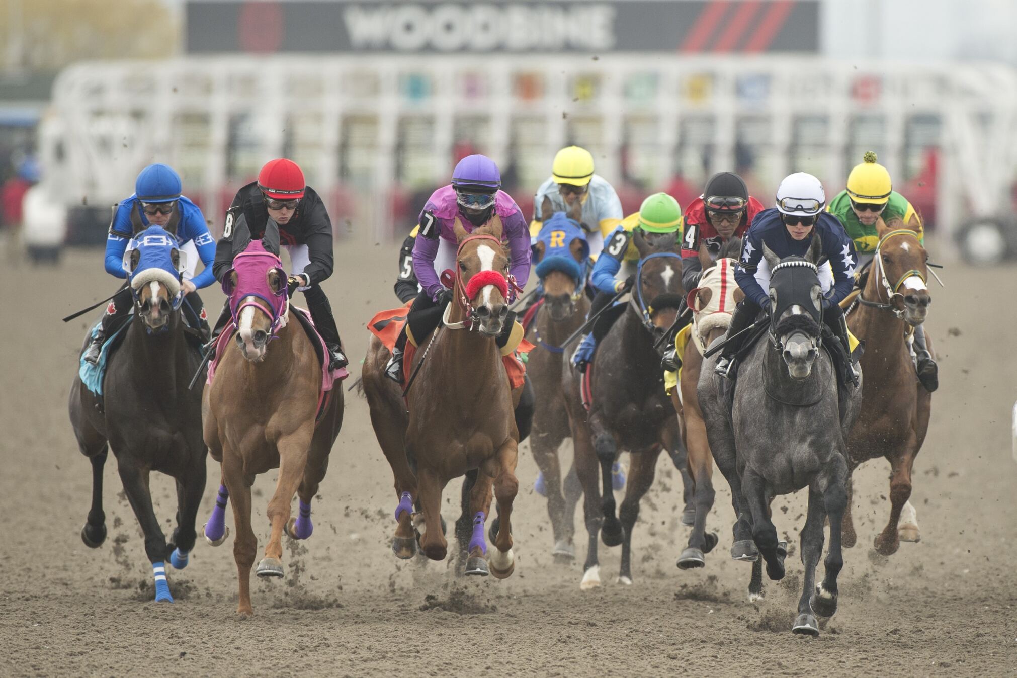 IFHA to hold Global Summit on Equine Safety and Technology at Woodbine ...