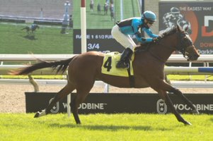 Dan Vella: A Wonderful 50-Year Horse Racing Life