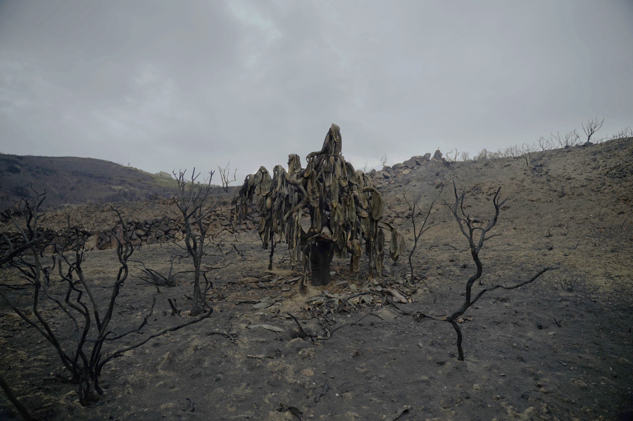 Kunstenaar Frank Theys, klimatoloog en IPCC auteur Philippe Huybrechts ...