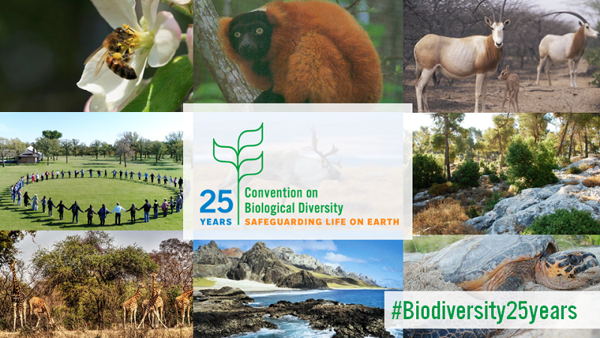 OECS Commission observes International Day of Biological Diversity OECS Commission observes International Day of Biological Diversity