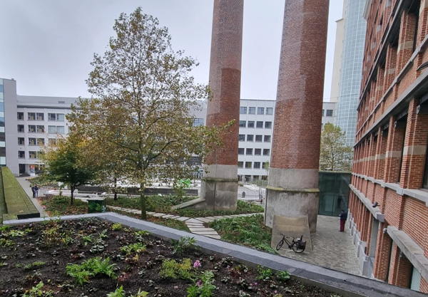 Vergroeningswerken Den Bell afgerond