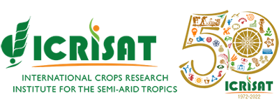 ICRISAT and GIZ collaborate to combat aflatoxin contamination in ...