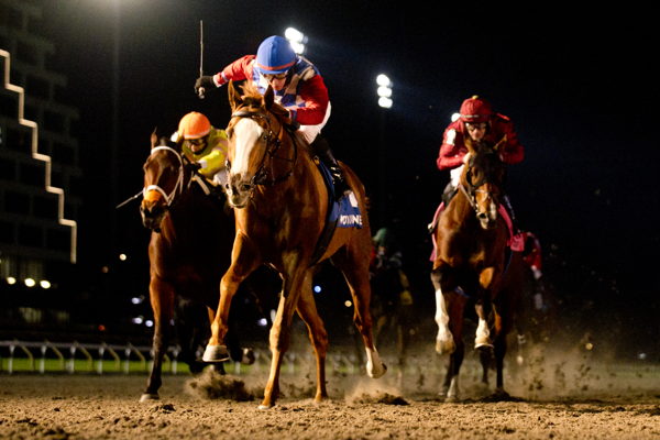 Trio of Action-Packed Grade 3 Stakes at Woodbine