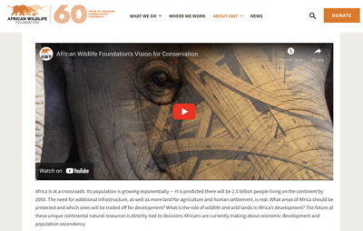 13 brand & business story examples that you probably haven't heard about