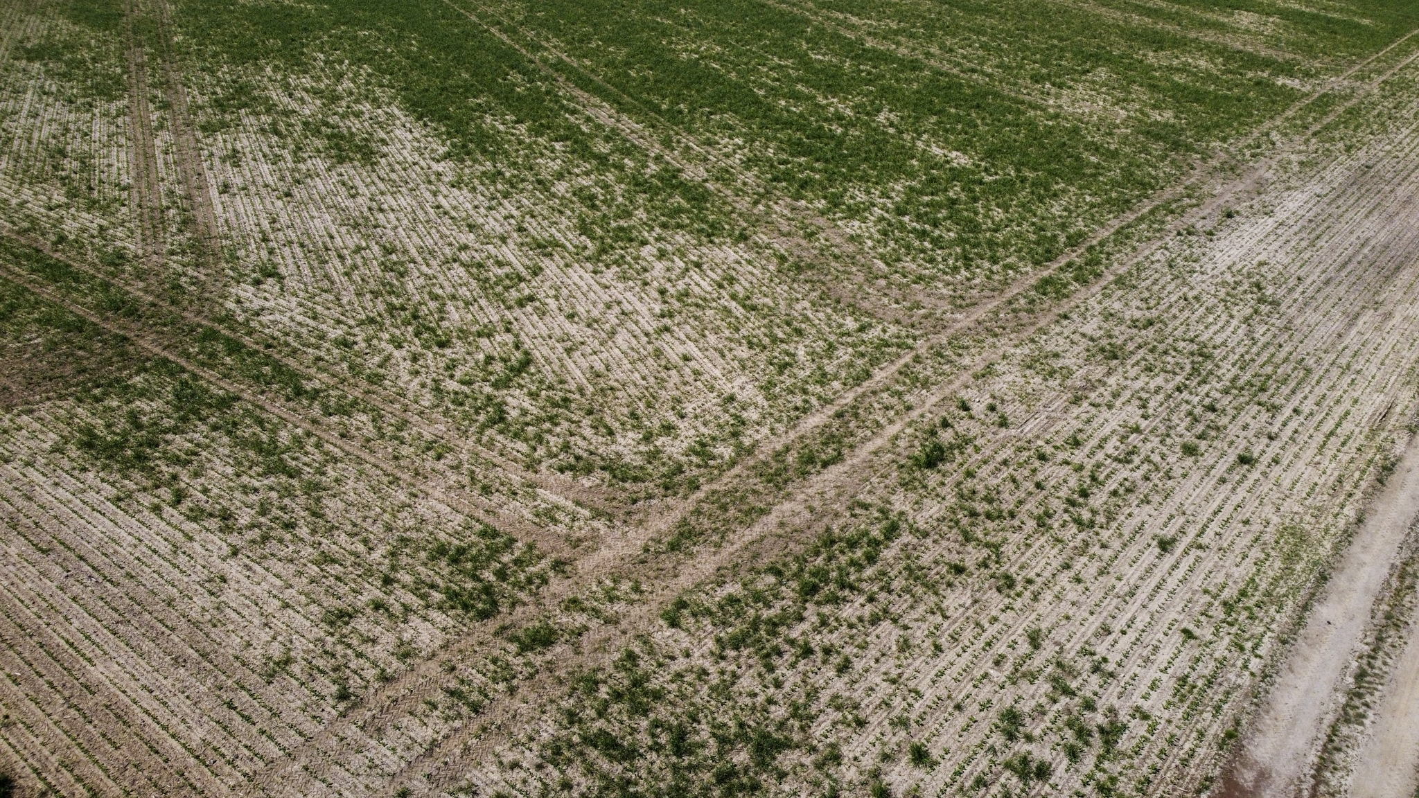 Belgium still dry after heavy rain