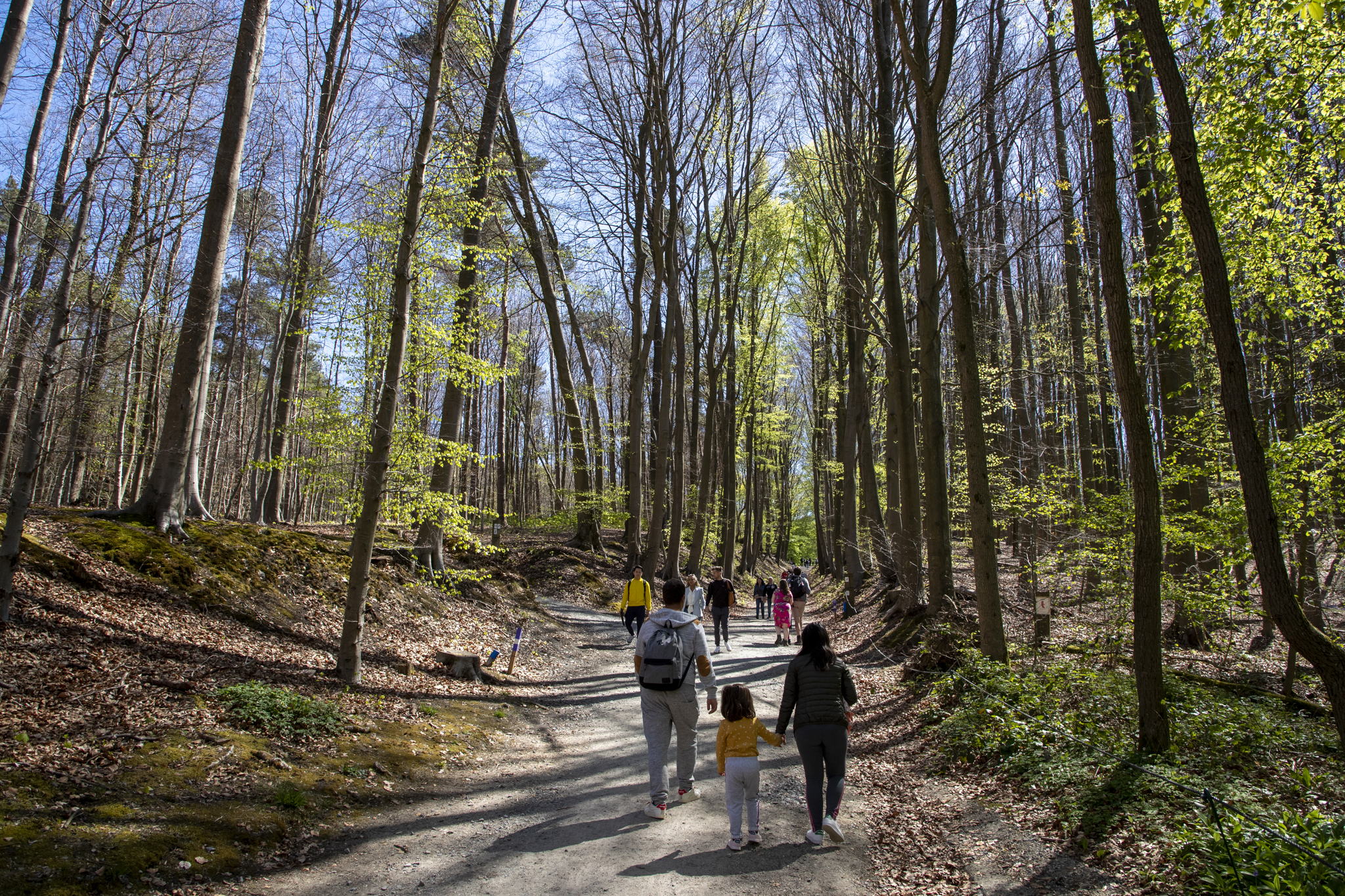 More land in Flanders was reclassified as open space compared to 2020