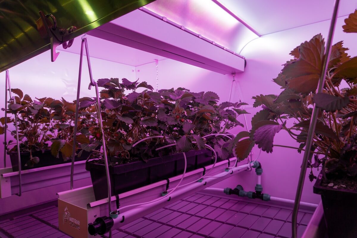 Colruyt Group en MechaTronix onthullen de innovatieve CoolGrow® VF lamp ...