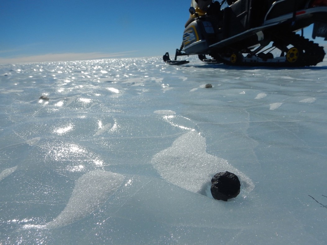 Belgian-led Team of Researchers Brings Back Impressive Haul of ...