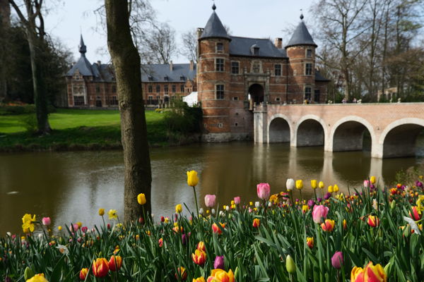 Groot-Bijgaarden castle displays flowers and lights twice a year