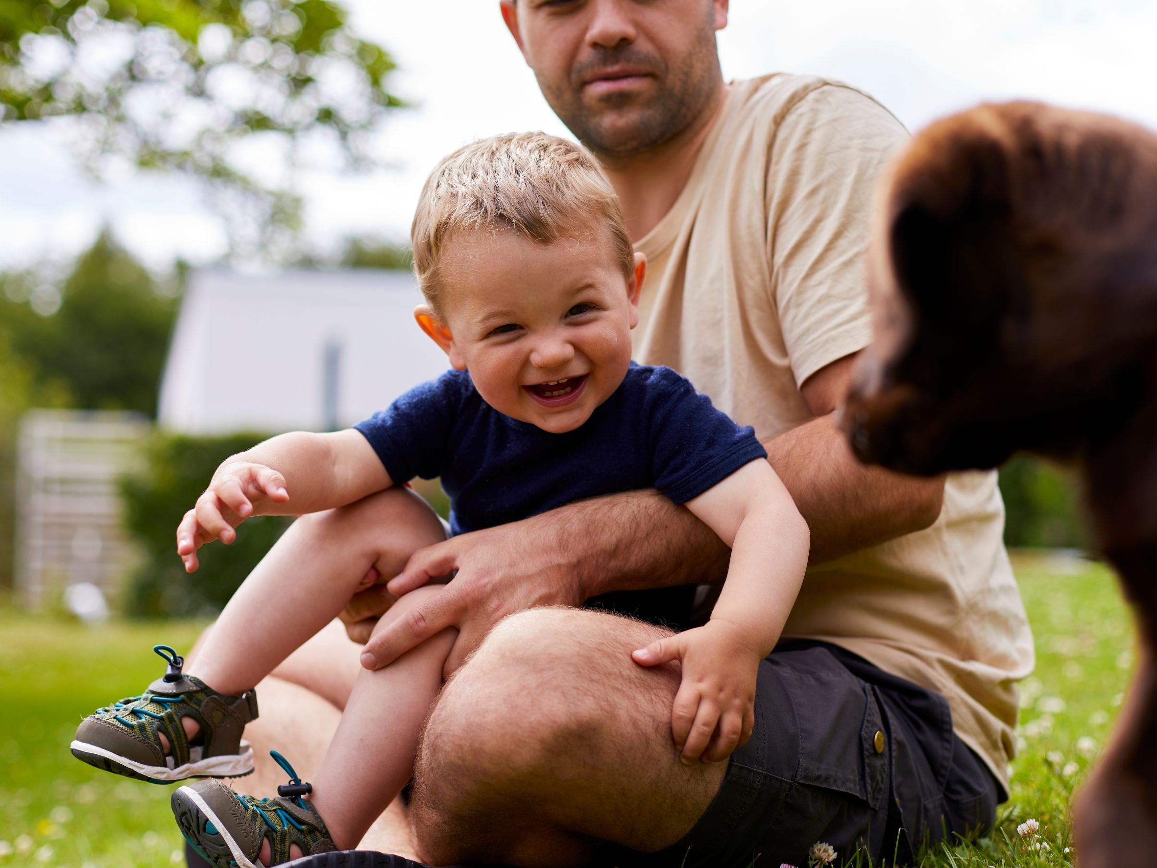 FDA confirms Arla Foods Ingredients’ whey protein hydrolysates can be ...