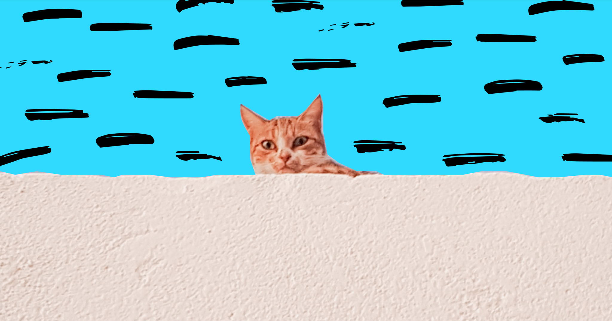 Press Kit & Media Kit Guide (What To Include + 10 Examples)