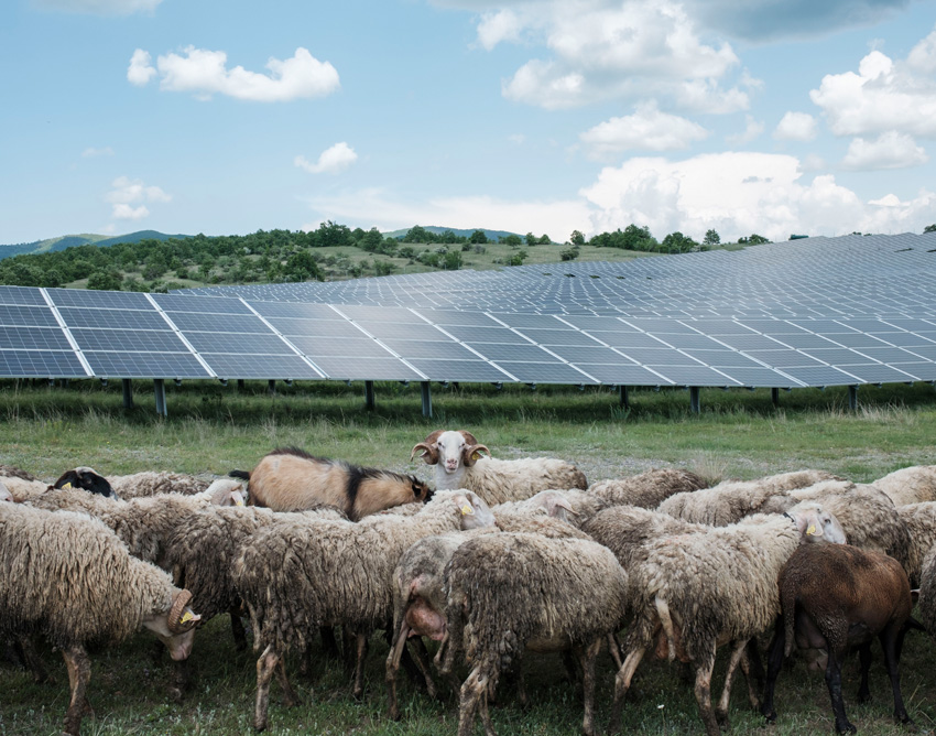 Sony World Photography Awards 2024: Die Siegerbilder der National ...