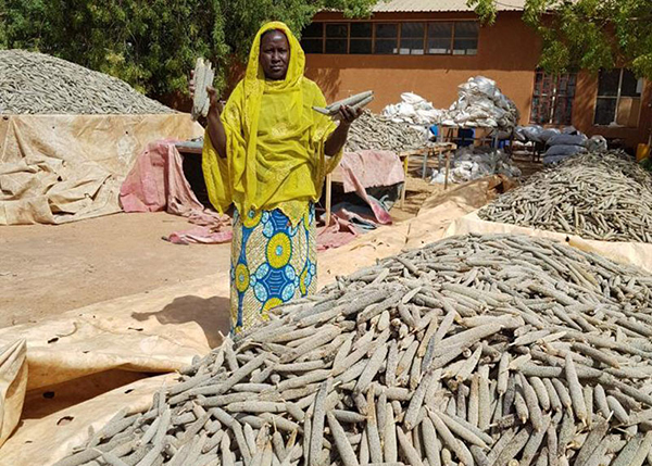 Mali women in conflict zones aim to expand markets for tasty ...