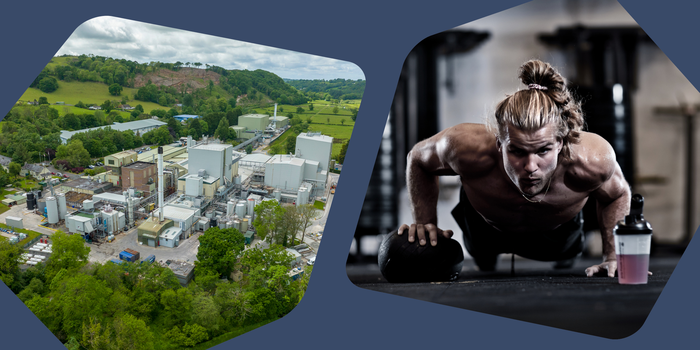 Arla Foods Ingredients moves forward with acquisition of Volac Whey ...