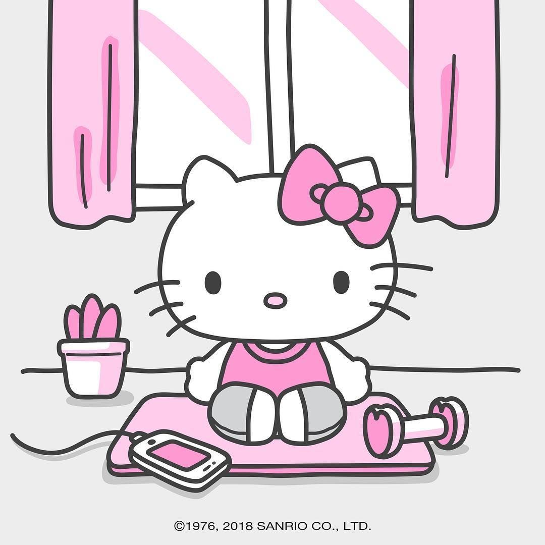 Si tu propósito de 2019 fue ser más saludable, Hello Kitty te ayuda a ...