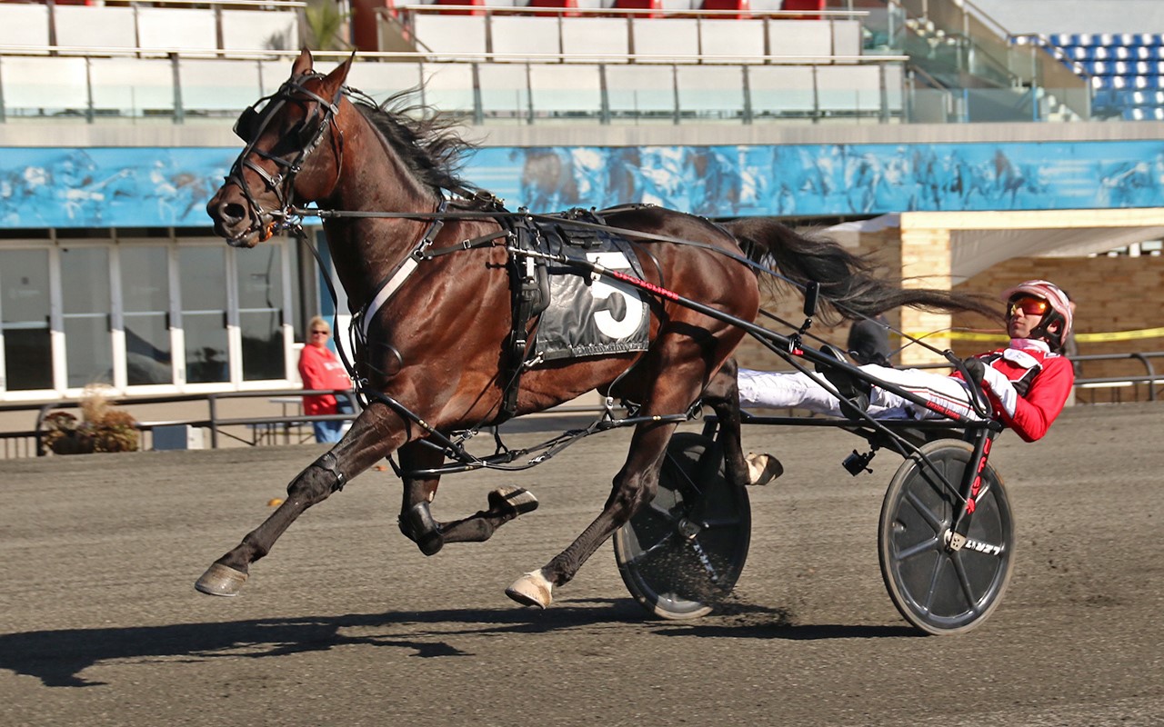 Bulldog Hanover preps for Crown with 1:51.2 qualifier