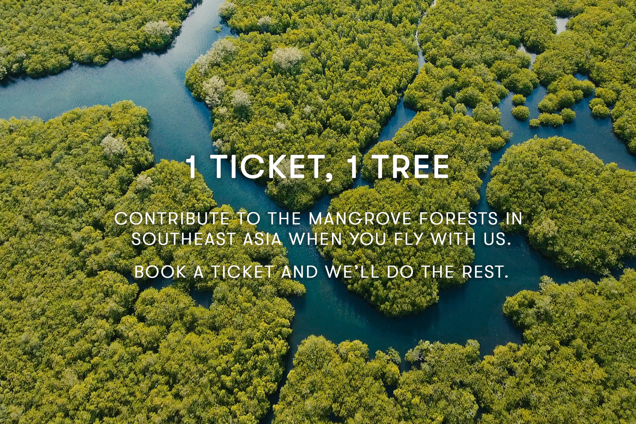 Buy One, Get One Tree! - Cathay Pacific Buy One, Get One Tree! - Cathay Pacific