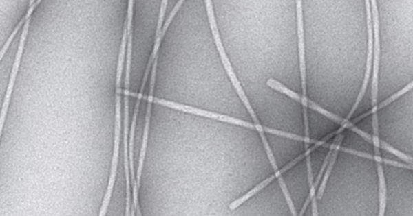 Using machine learning to map protein aggregation